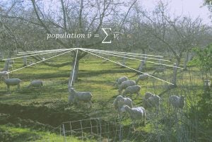 Population Vector – The Aggie Transcript