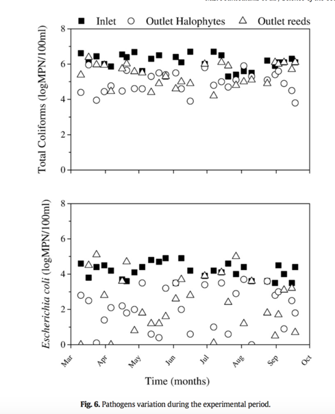 Review of Horizontal-flow and vertical-flow constructed wetlands ...