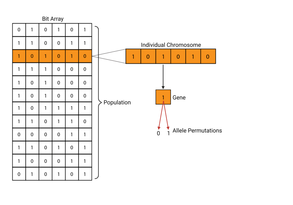 Genetic algorithms: An overview of how biological systems can be ...
