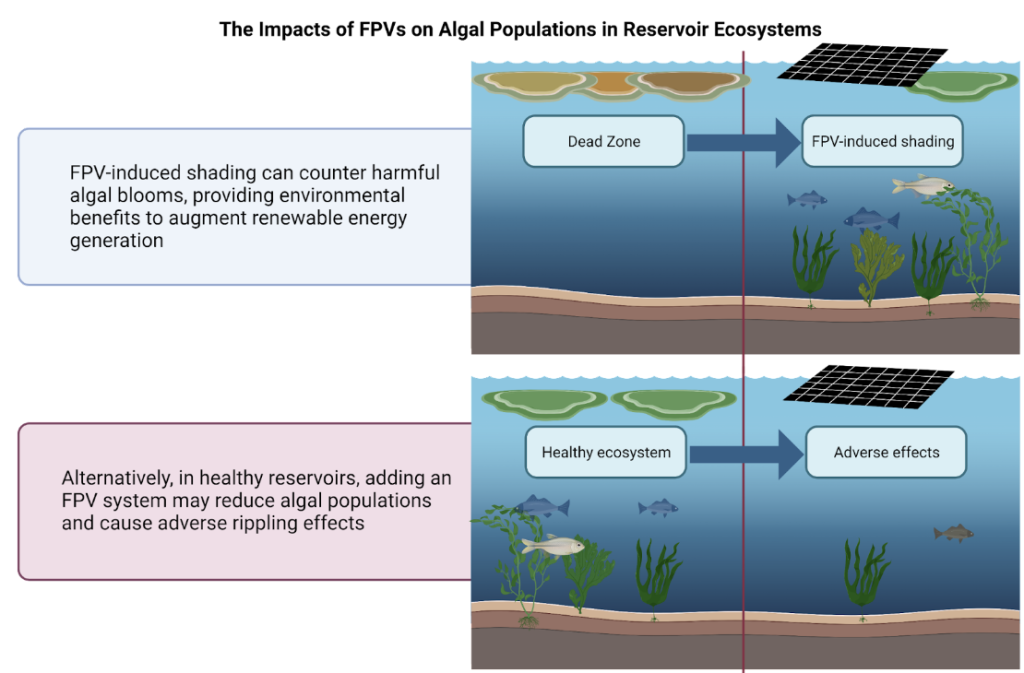 Floating Photovoltaics (FPVs): Impacts on Algal Growth in Reservoir ...